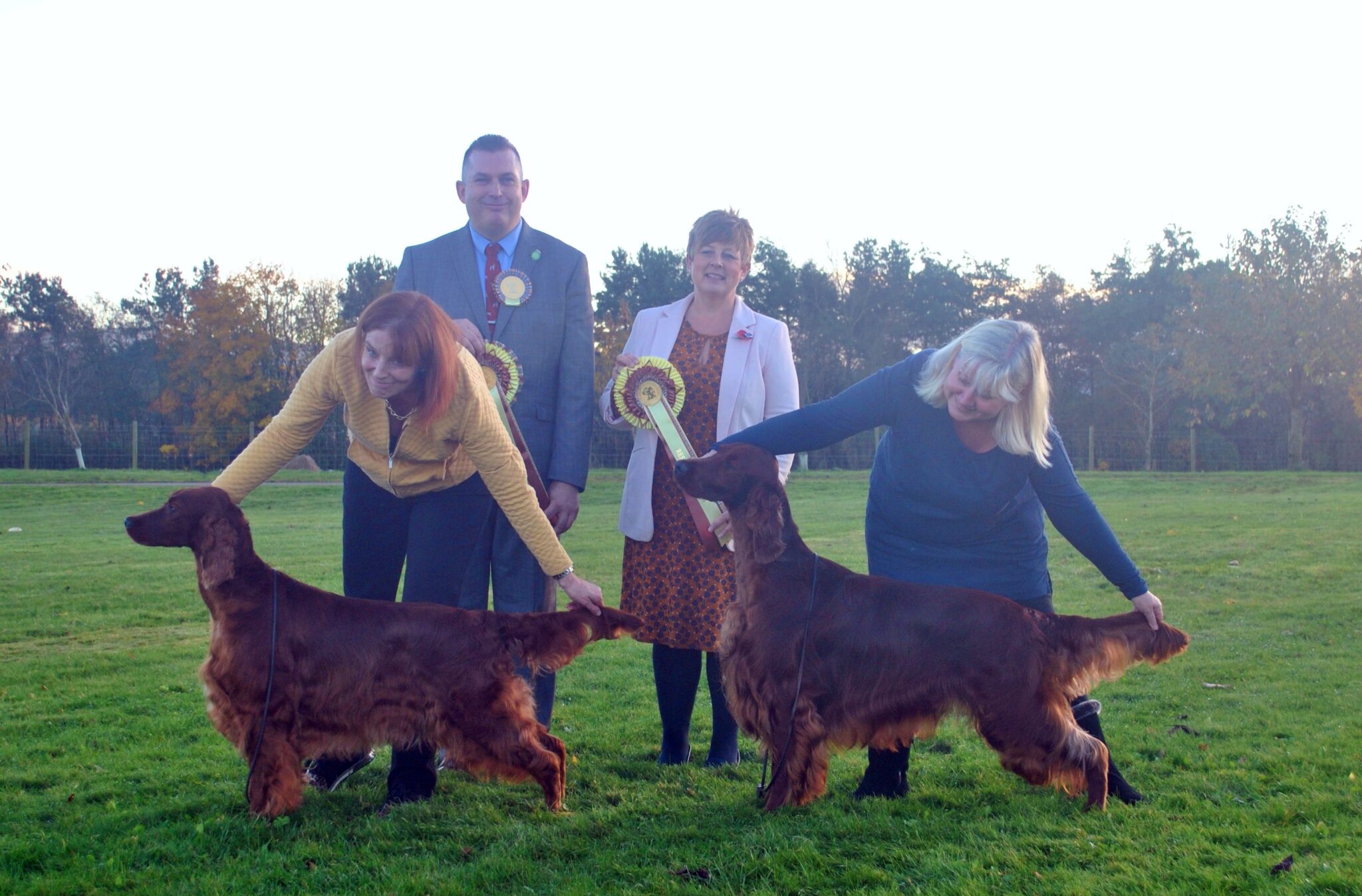 46th Breed Champ Show 13th Nov 2021 | The Irish Setter Club Of Scotland
